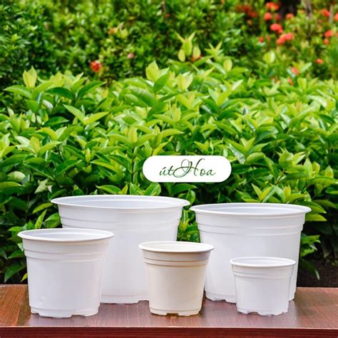 Mua Sỉ Từ 20 Cái Chậu Nhựa Trắng T20 20x15 Cm Trồng Cây Trồng Hoa Nhựa Cao Cấp Giá Rẻ Nhất