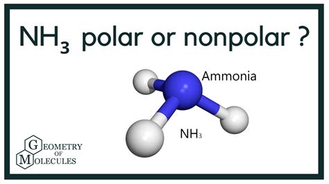 Molecular Geometry Of I3 LelandexRowland