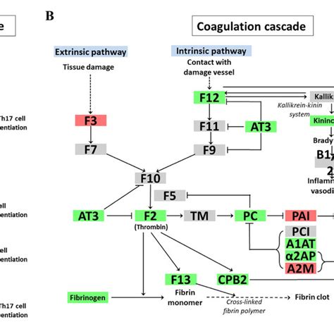 A Typical Approach Taken To Simultaneously Investigate Host Bacteria Download Scientific