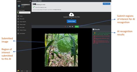 Training And Testing Your Ai Lucid Help