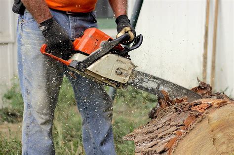8 Best Chainsaws At Home Depot In 2026 Reviews And Top Picks Home Grail