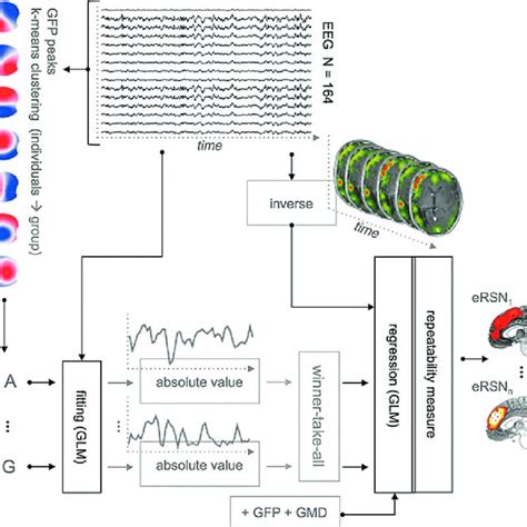 Pdf Eeg Resting State Networks Microstates Source Localization