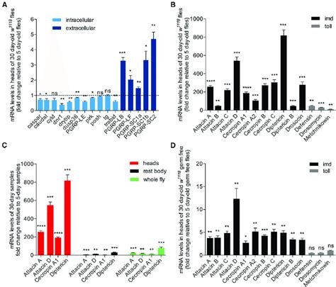 Healthy Aging In Drosophila Is Characterized By Age Dependent
