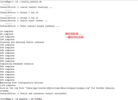 Oracle 12c 静默安装脚本自动化 Csdn博客