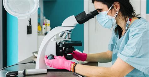 What Is A Histopathology Report