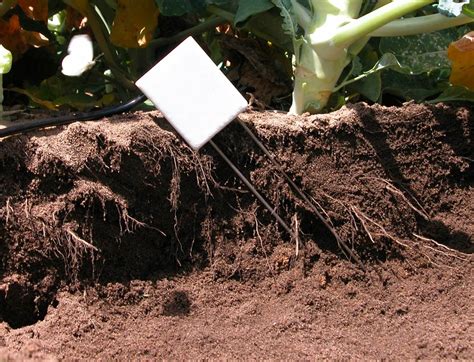 Capacitance Charge SoilSensor Com