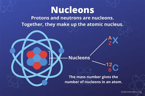 What Are Nucleons Definition And Examples Science