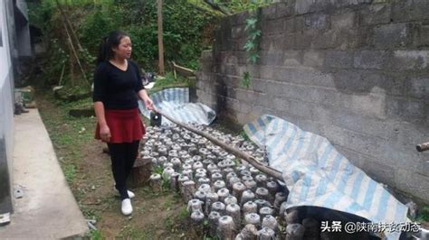 勉縣李家河村：真抓實幹 掀起產業扶貧新高潮 每日頭條