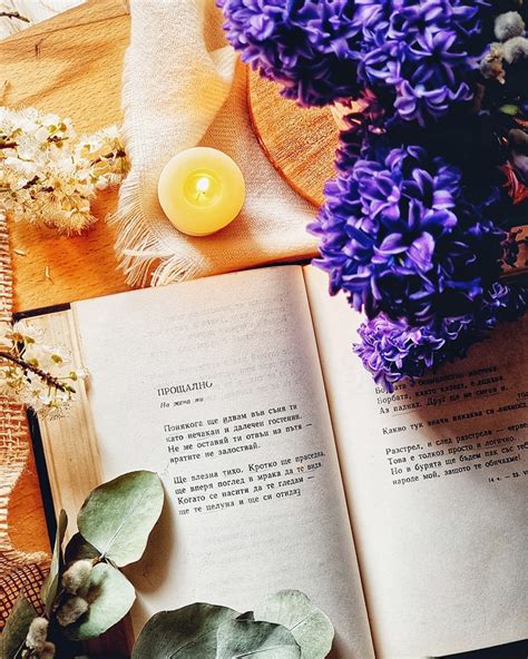 Hrisilandia 21 март е Световният ден на поезията