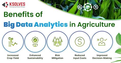 How Big Data Is Revolutionizing Agriculture Industry