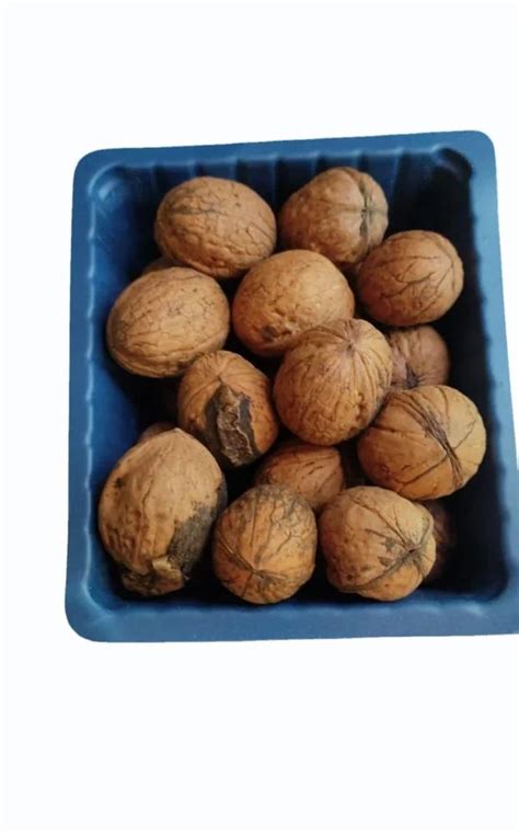 Kashmiri Walnut Shell Small 25 Kg At ₹ 160 Kg In Srinagar Id 2854428677633