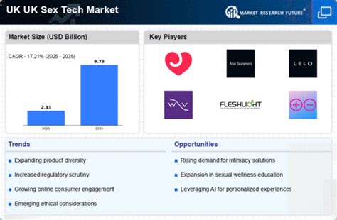 Uk Sex Tech Market Size Share Trends Growth Report 2035