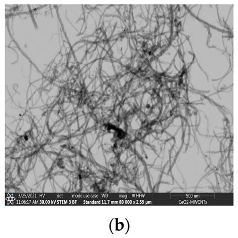 Tem Images On A Scale Of 500 Nm A Vmwcnts B Cemwcnts C Download Scientific Diagram