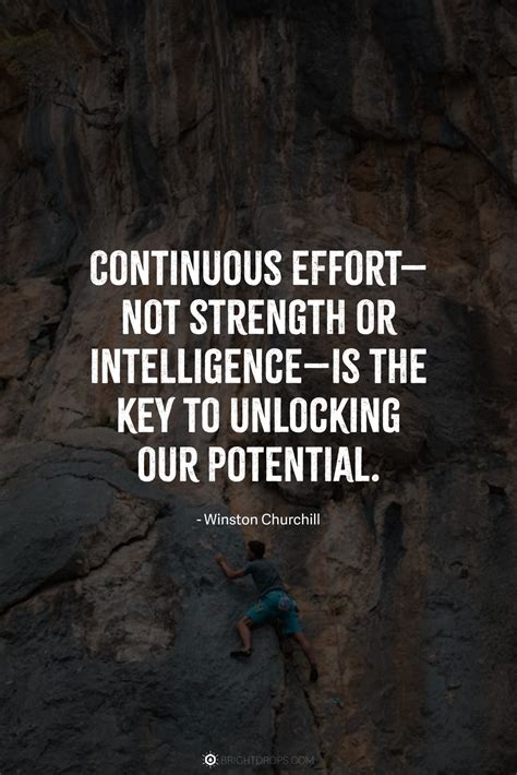 91 Perseverance Quotes On Why Giving It Your All Is The Only Way Bright Drops