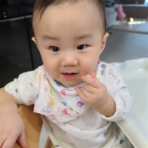 네이버 인플루언서 가정집의 홈