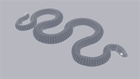 animated calabar python 3d model by dibia digital