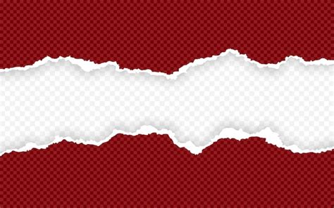 찢어진 사각형 수평 종이 스트립 프리미엄 벡터