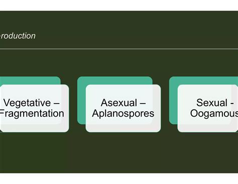Algae 02 Plant Kingdom Pdf