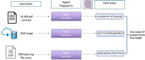 Unit 1 6 Introduction To Cryptographic Concepts Required — 1 By Sslp Medium