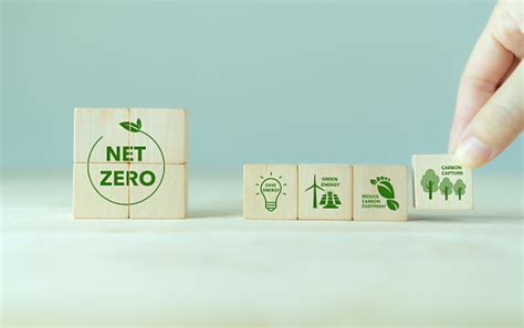 넷 제로 액션 개념 에너지 녹색 에너지 탄소 발자국 감소 탄소 포획을 절약하십시오 기후 중립적 인 장기 전략 지구 온난화를 제한하십시오 녹색 그물 제로 아이콘이있는 나무