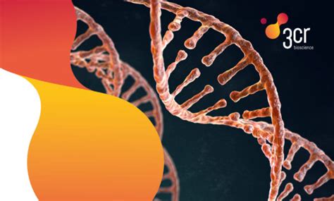 Genotyping Vs Sequencing Whats The Difference
