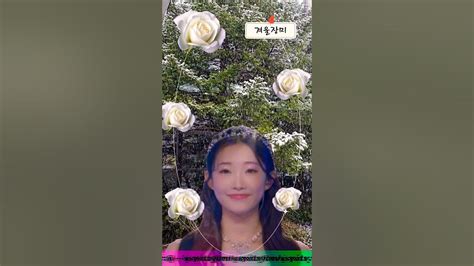 ️겨울장미정서주미스트롯3 Youtube