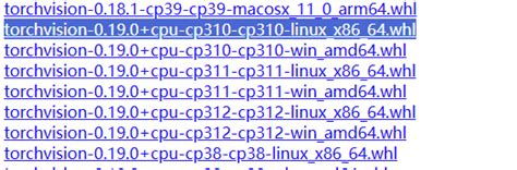 Bug Vllm 061 Runtimeerror Operator Torchvisionnms Does Not Exist