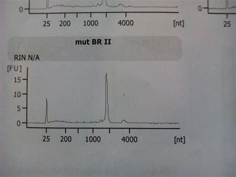How Should P Dumerilii Total Rna Bioanalyzer Results Look Like