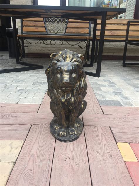 ლომი პატარა