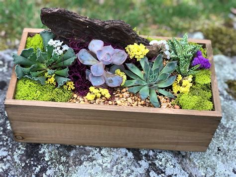 Succulent Box Planter Workshop Pottery Factory Brookfield