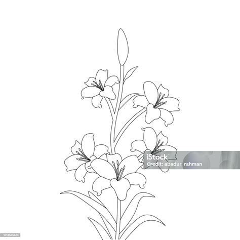 아이들을위한 백합 꽃 색칠 공부 페이지 그리기 선 그리기 그림으로 예술 활동 0명에 대한 스톡 벡터 아트 및 기타 이미지 0명 개념과 주제 계절 Istock