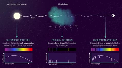 Spectroscopy And Stars Astrobiology