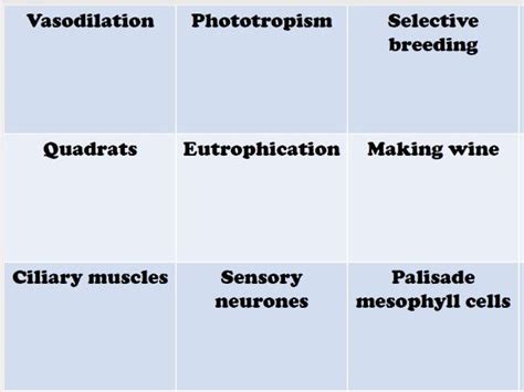 GCSE Biology Revision Lesson Teaching Resources