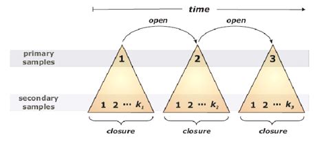 the basic structure of the followed capture recapture method [as appear