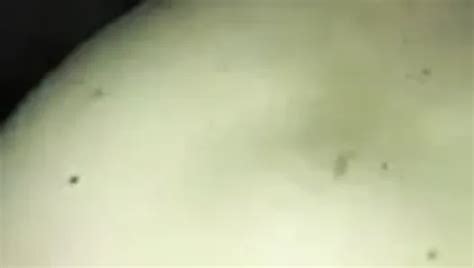 Free Sex Porn Videos XHamster Free Sex Porn Videos XHamster