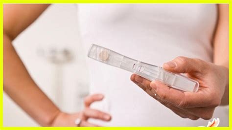 배란 테스트 난자 성숙을 결정 Youtube