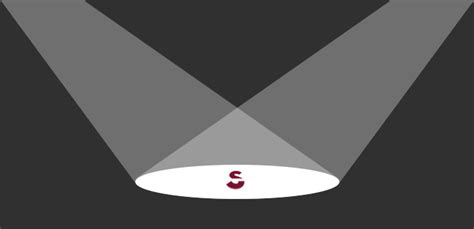 Manege Frei Snippit Software