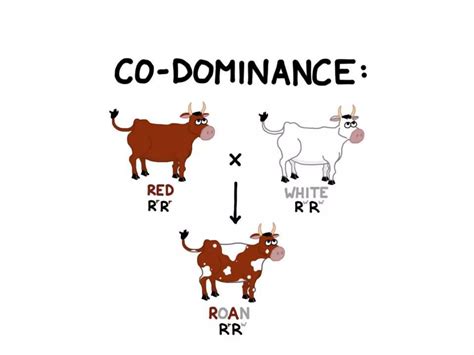 Allelic Gene Interactionpptx