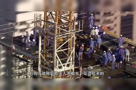 为何人类一直无法适应地球？研究发现，人类或并非进化来的