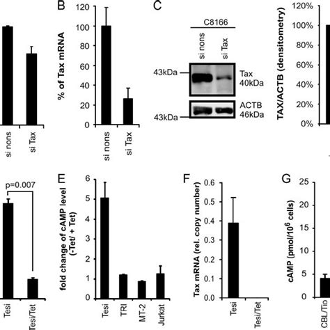 Decrease Of Intracellular Camp After Overexpression Of Pde3b In Download Scientific Diagram
