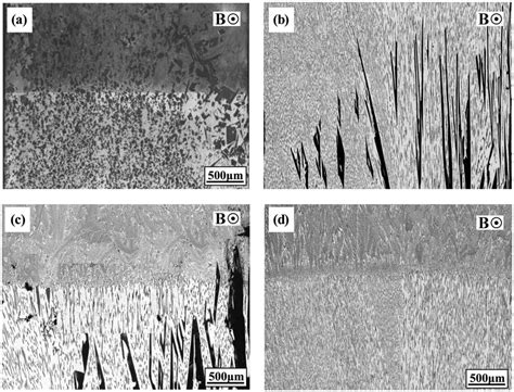 Transitions Of The Mushy Zone In The Longitudinal Section Of The Al 12