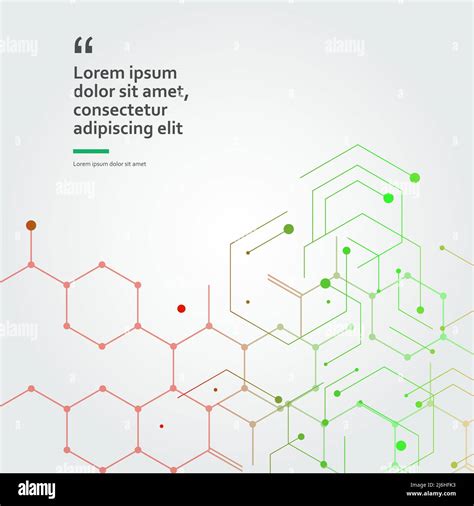 Molecular Hexagons Structures On White Background Vector Illustration