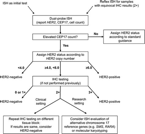 Consensus Algorithm For Human Epidermal Growth Factor Receptor 2her2 Download Scientific