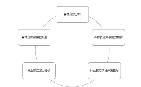 林业碳汇潜力评估 北京凯来美气候科技有限公司