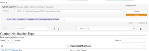 Salesforce Code Crack How To Get The Custom Notification Type Id Using Soql In Salesforce