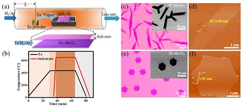 Phase Controllable Chemical Vapor Deposition Synthesis Of Atomically
