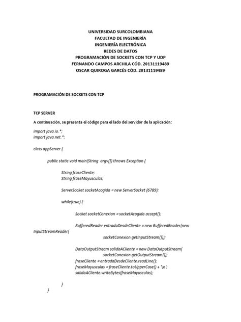 programación sockets pdf java lenguaje de programación zócalo
