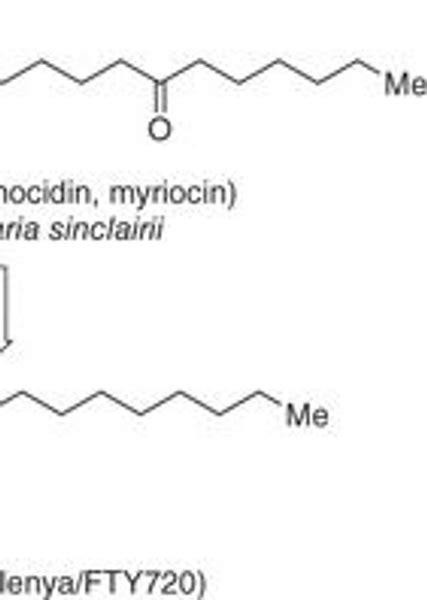 Innovative Drug Synthesis Welcome To Dc Books
