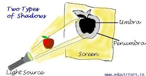 CBSE Papers Questions Answers MCQ CBSE Class 6 Science CH 11 LIGHT SHADOWS AND