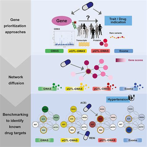 Multi Layered Genetic Approaches To Identify Approved Drug Targets